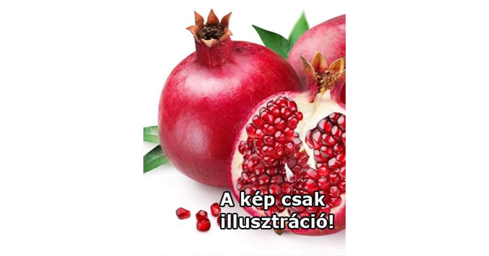 Punica granatum 'Mangush' – Gránátalma