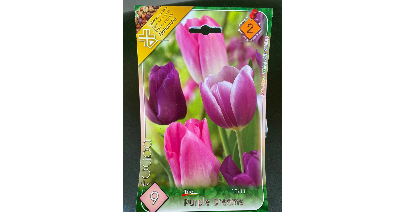 Tulipán Trio - Purple Dreams