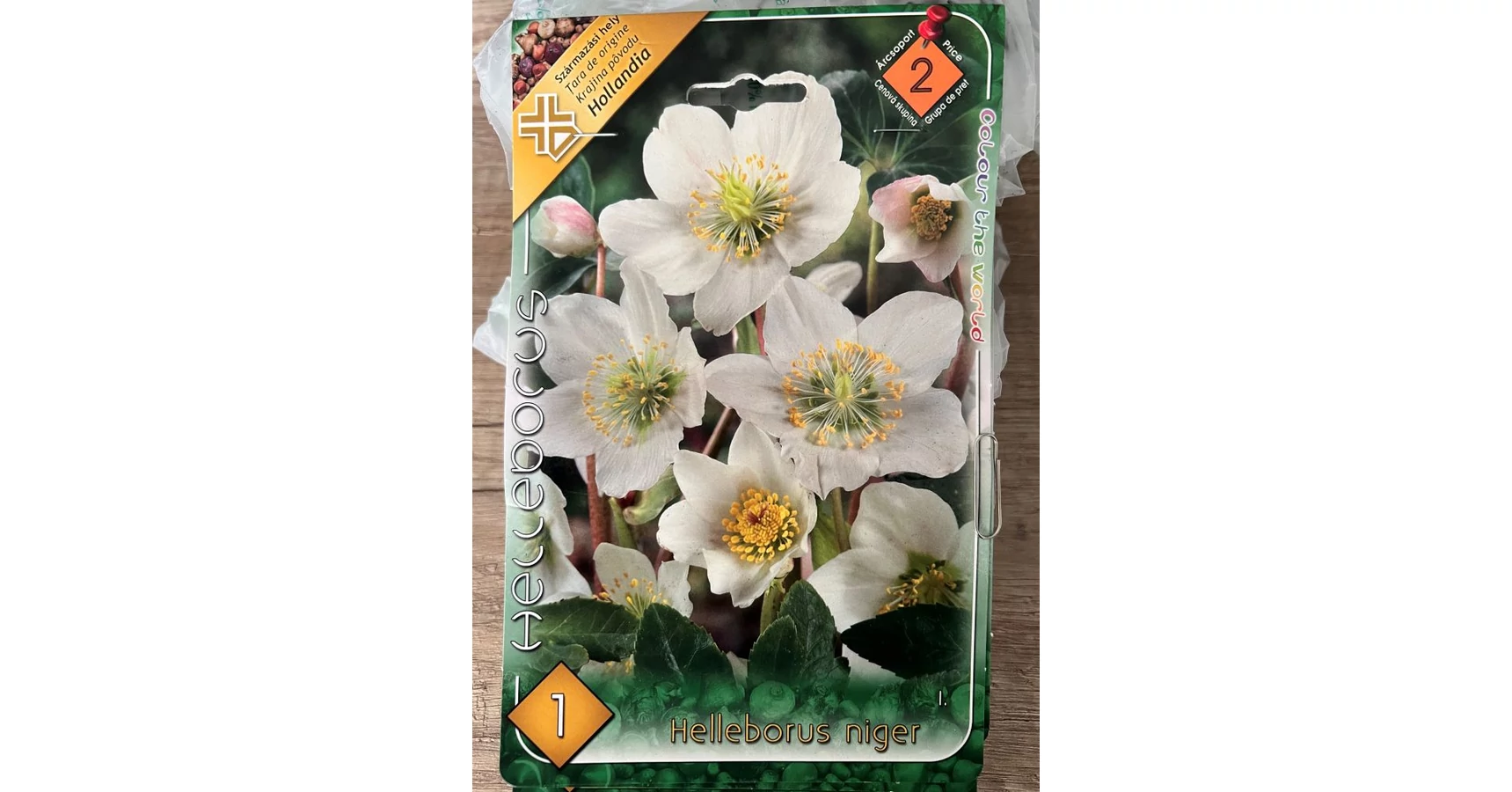Helleborus niger – Fekete hunyor