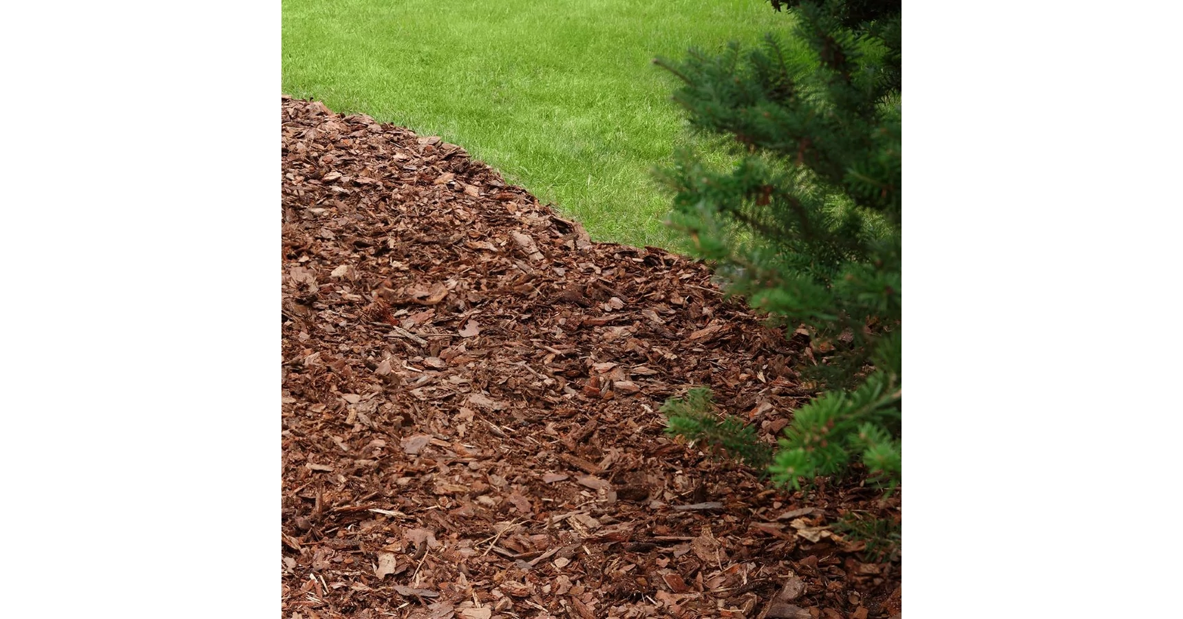 Vörösfenyő kéreg (2-5 cm) (60 liter)