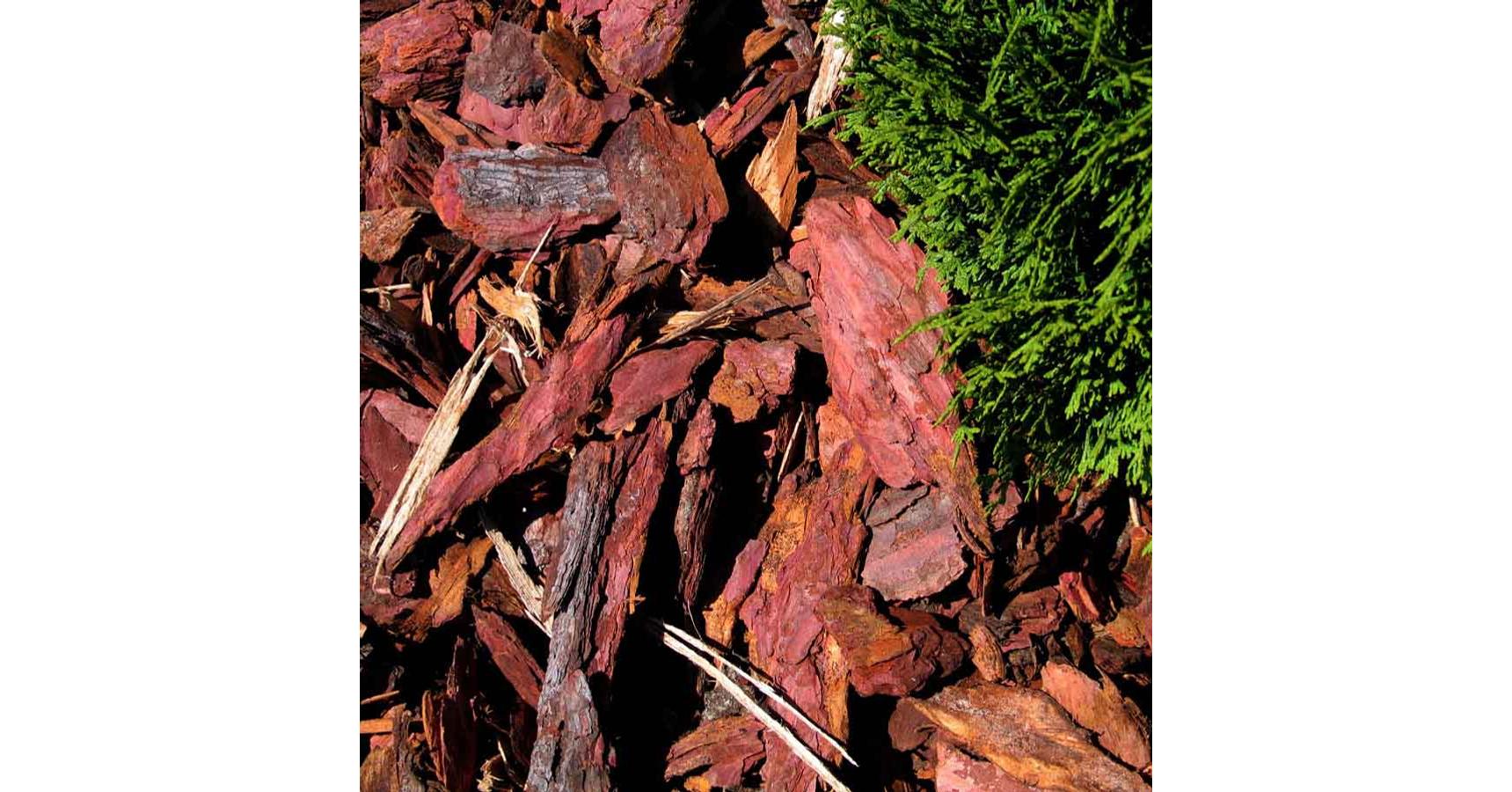 Vörösfenyő kéreg nagy szemű (2-10 cm)