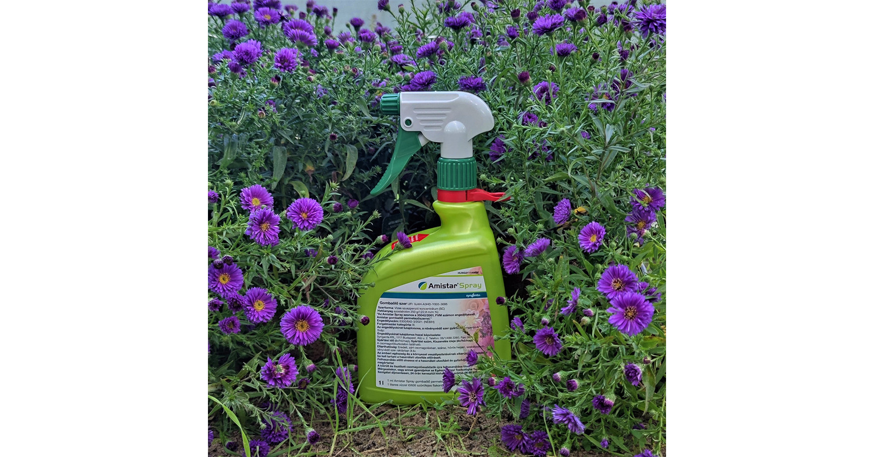 Amistar felszívódó gombaölő permetezőszer
